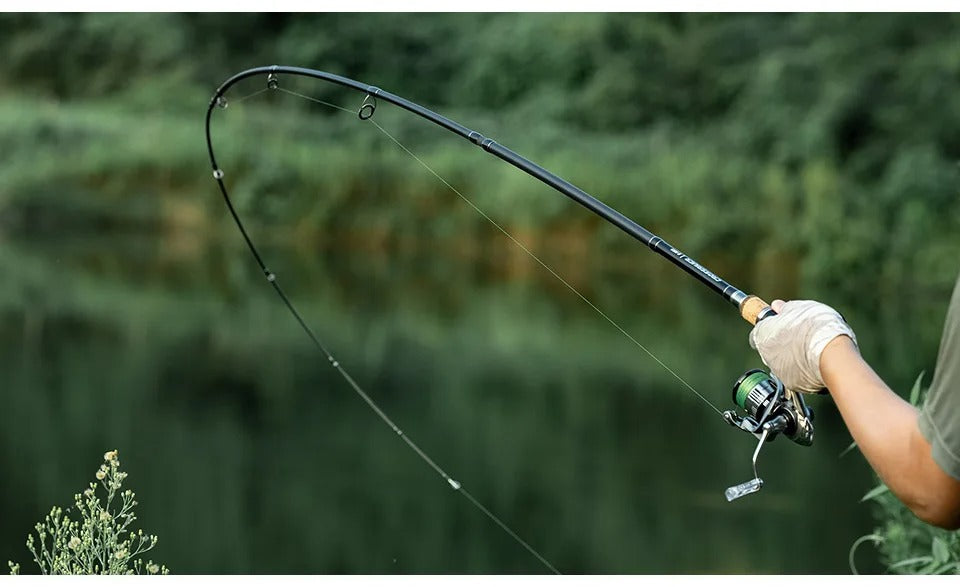 Fishing Rod – FishingHUB