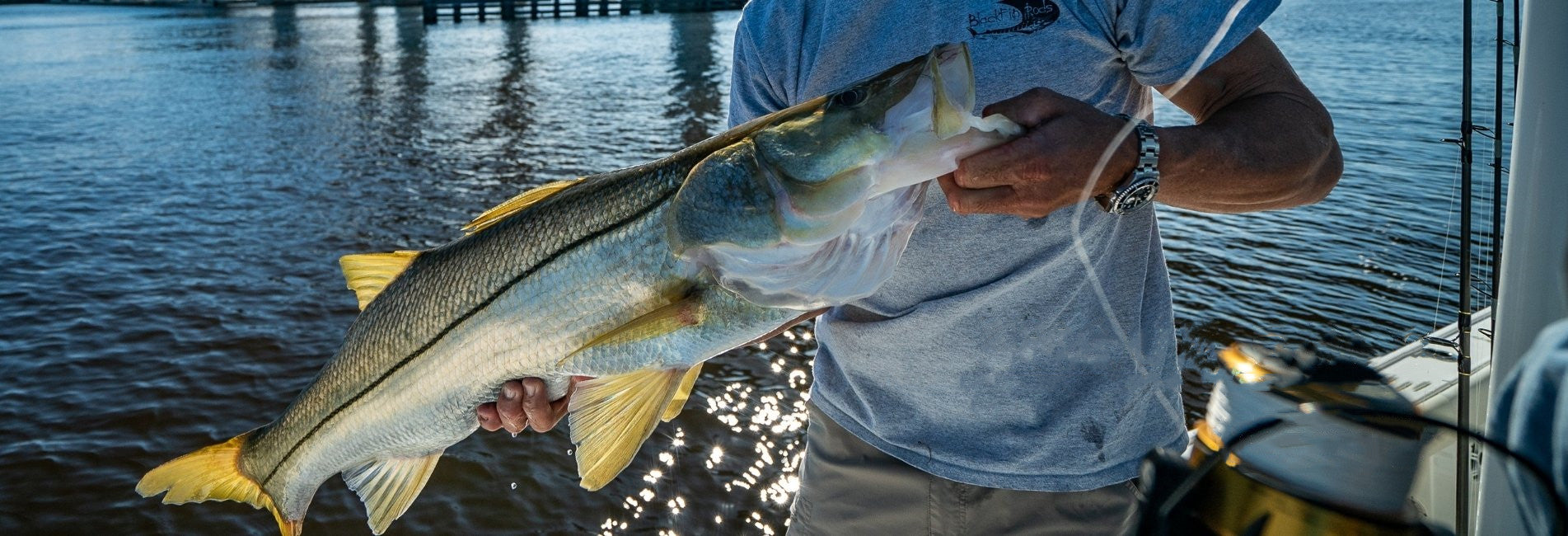 FishingHUB丨One-stop Fishing Gear Online Store